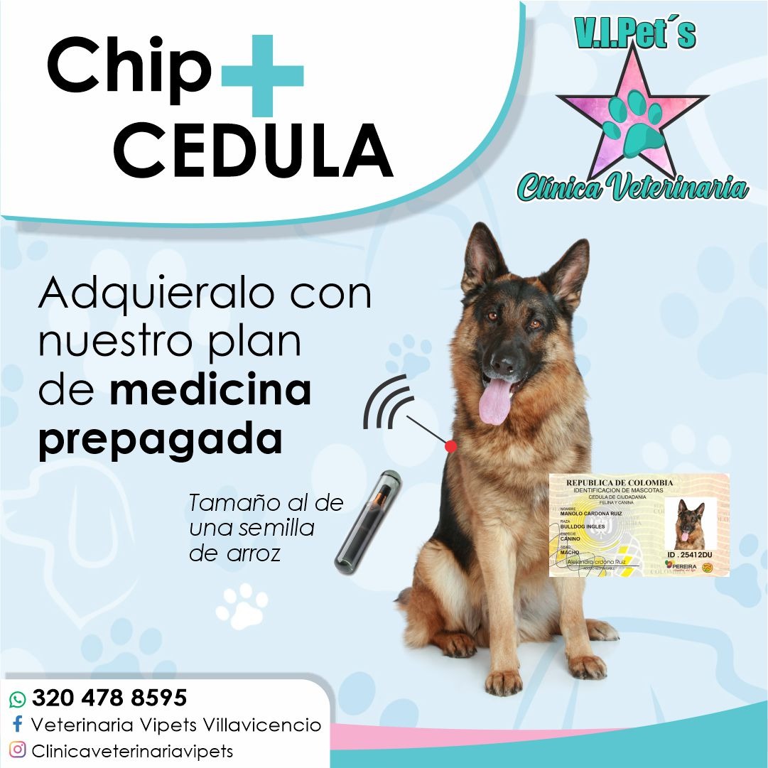 CLINICA VETERINARIA V.I.Pet´s